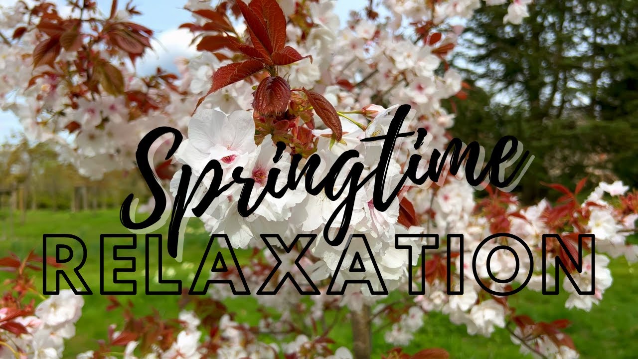 Springtime Relaxation - Music to relax and destress this spring - YouTube