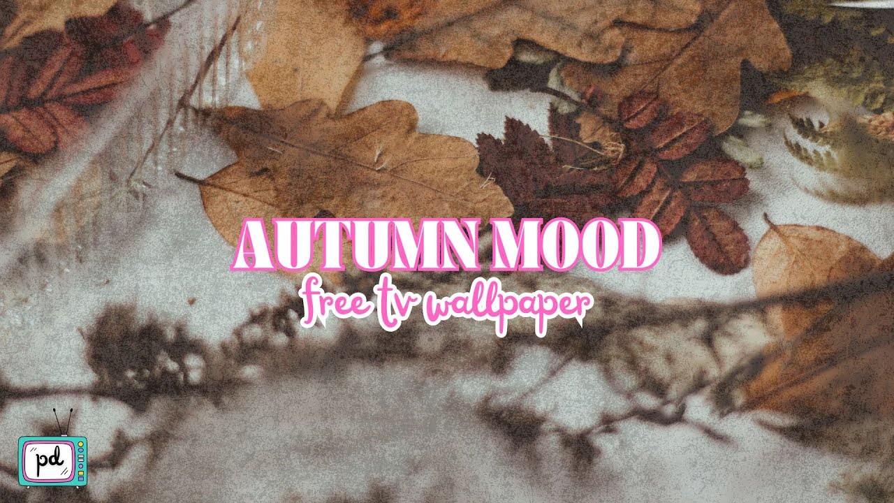 AUTUMN MOOD FREE TV WALLPAPER | FALL LEAVES FRAME TV ART WITH AMBIENT ...