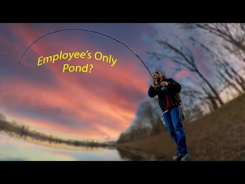 Employee's Only Pond? 3 Day FISHING Journey in 8 MINUTES - YouTube