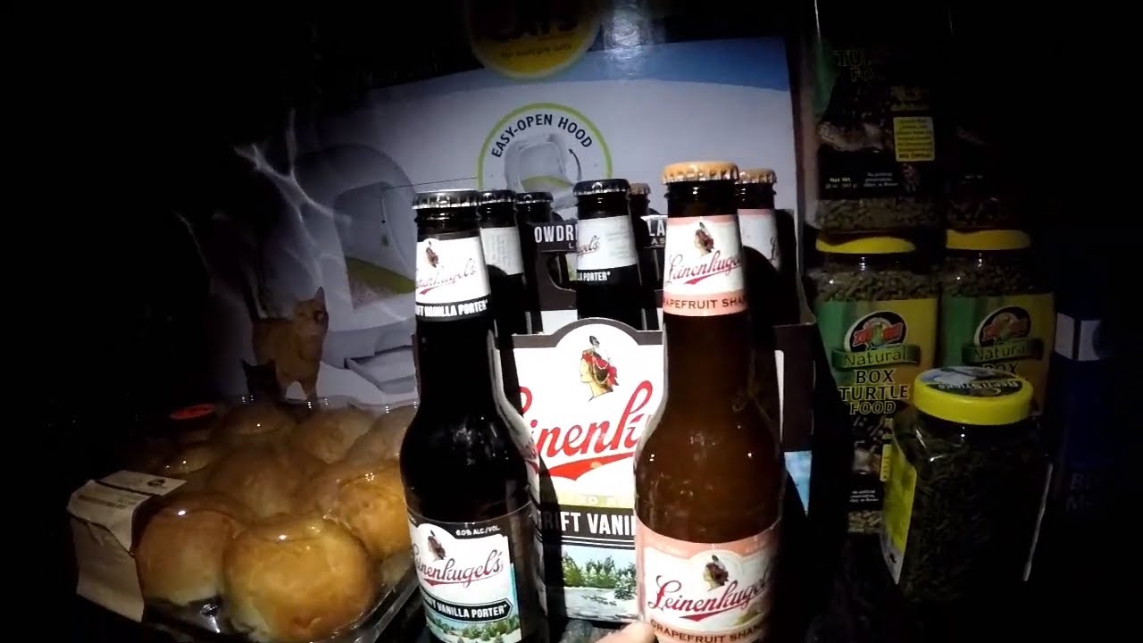Dumpster Diving Curbside Junkies Style | FREE BEER | The Best Time To ...