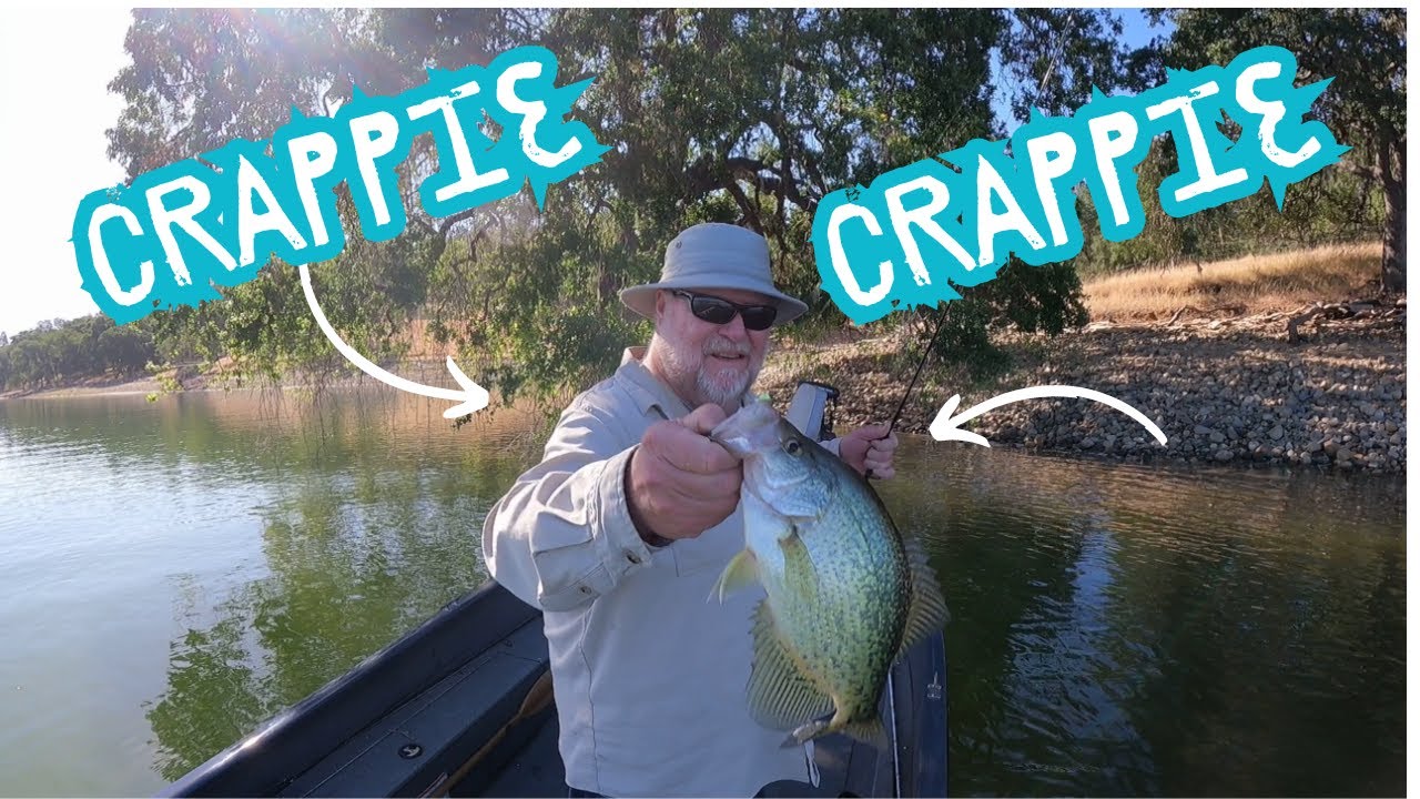LOADS OF CRAPPIE under a tree ~ Lake Nacimiento - YouTube