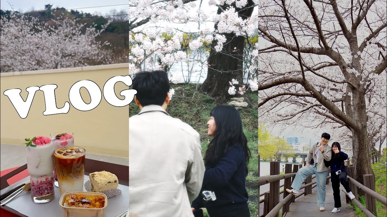 일상 Vlog 장거리 커플의 휴일 같이 보내기 친구와 함께하는 벚꽃 구경 직장인 브이로그 Youtube