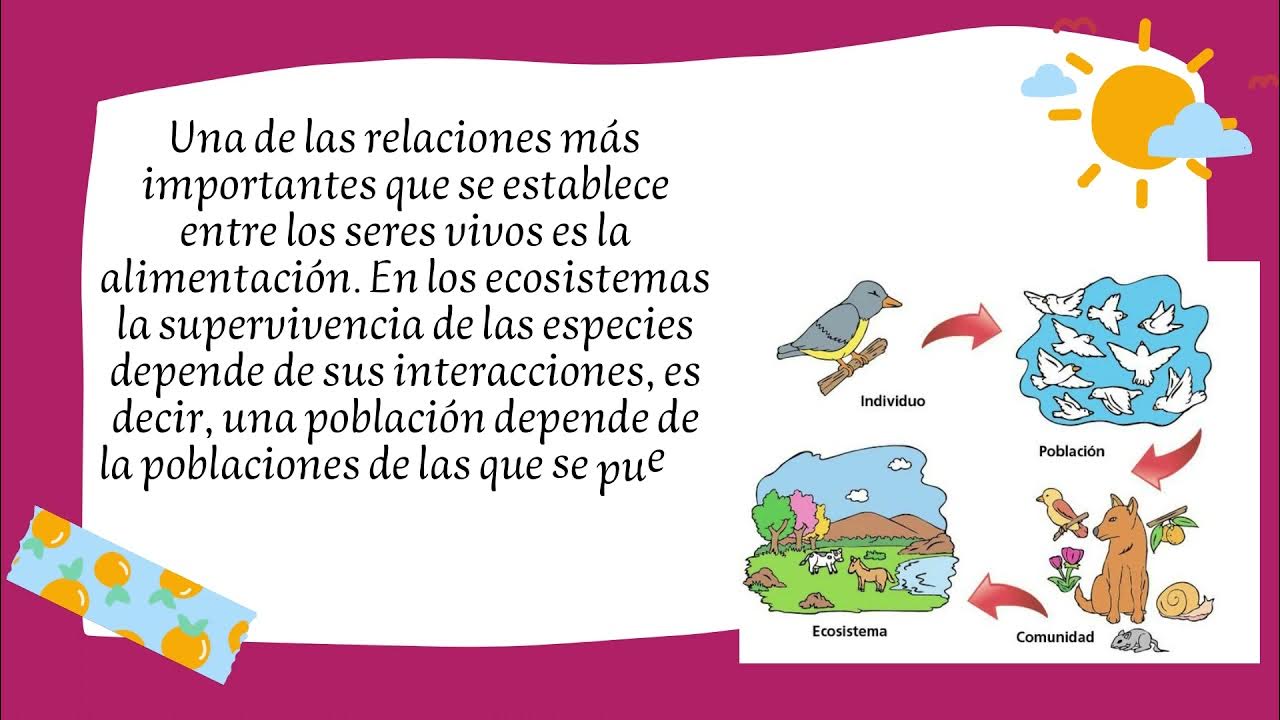 Interacciones Y Ecosistemas