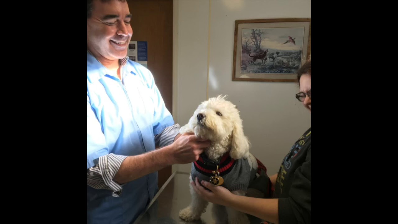 BUDDY GOE'S TO SEE DR. TIPPETT HIS VETERINARY * MY TALKING PET* - YouTube