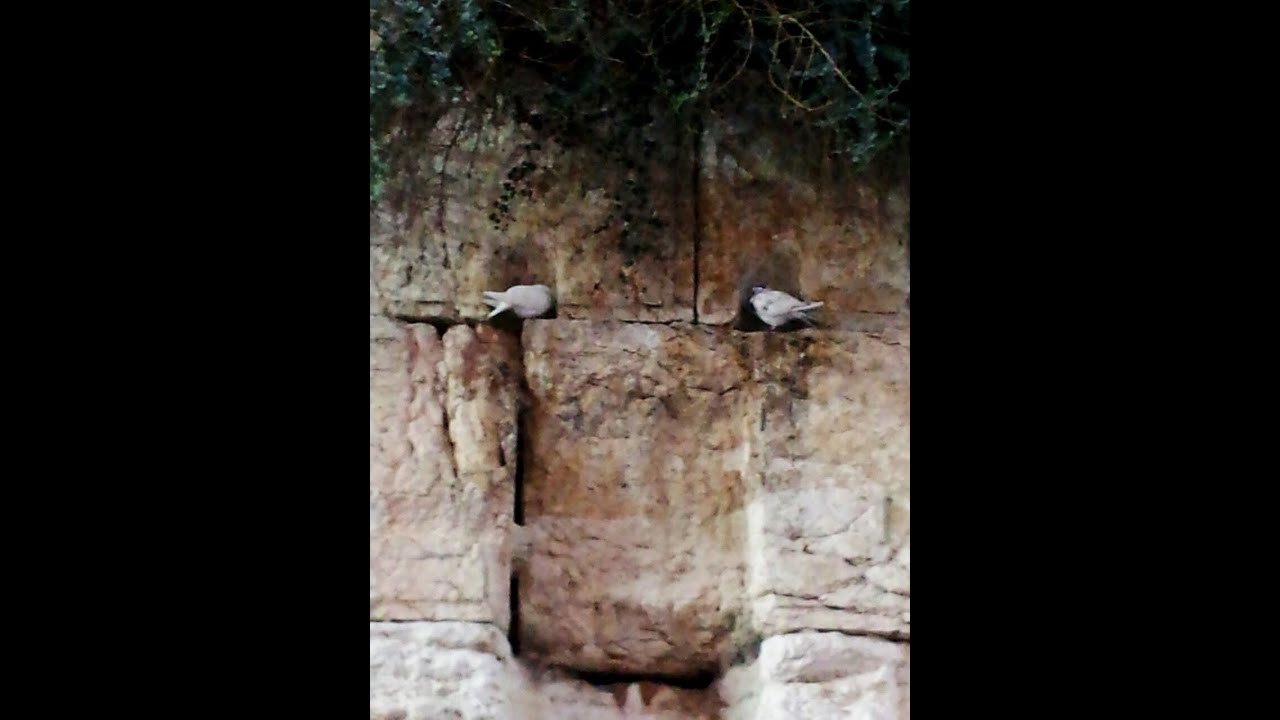 "Acheinu" (Our Brothers) אחיינו, composed by Abie Rotenberg, arranged ...