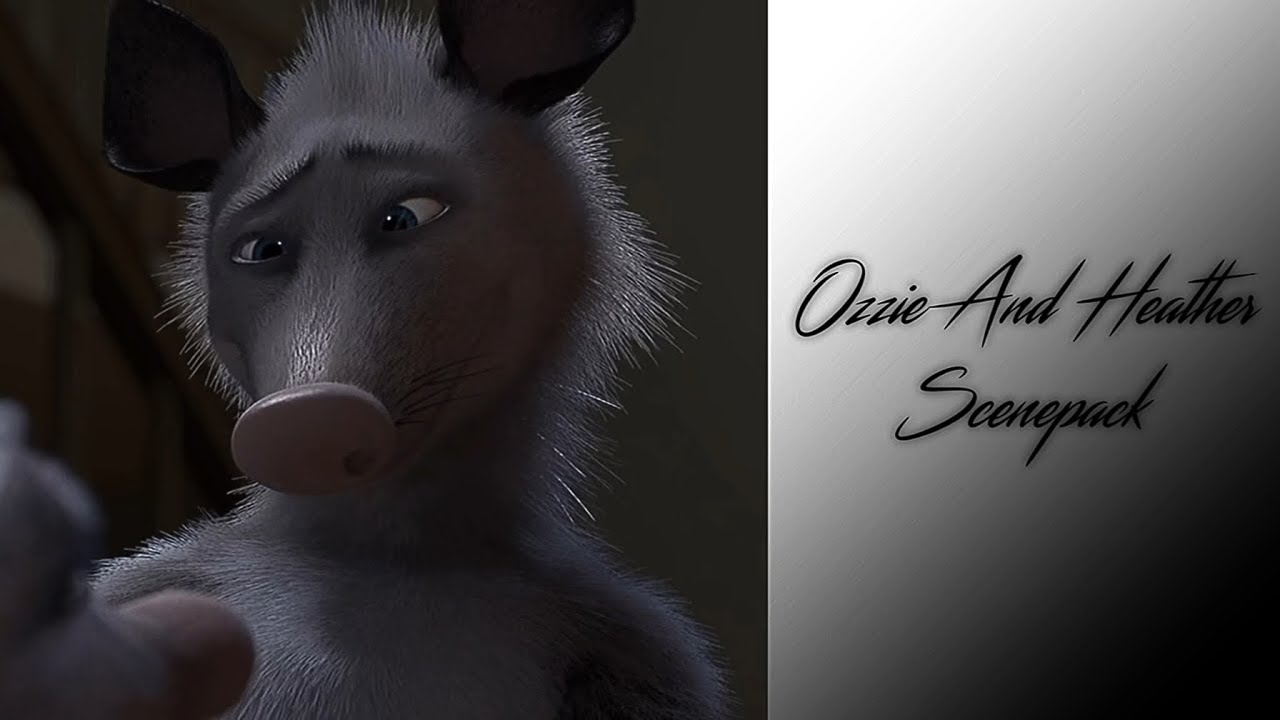 Over The Hedge (2006) - Ozzie And Heather Scenepack (4K) - YouTube