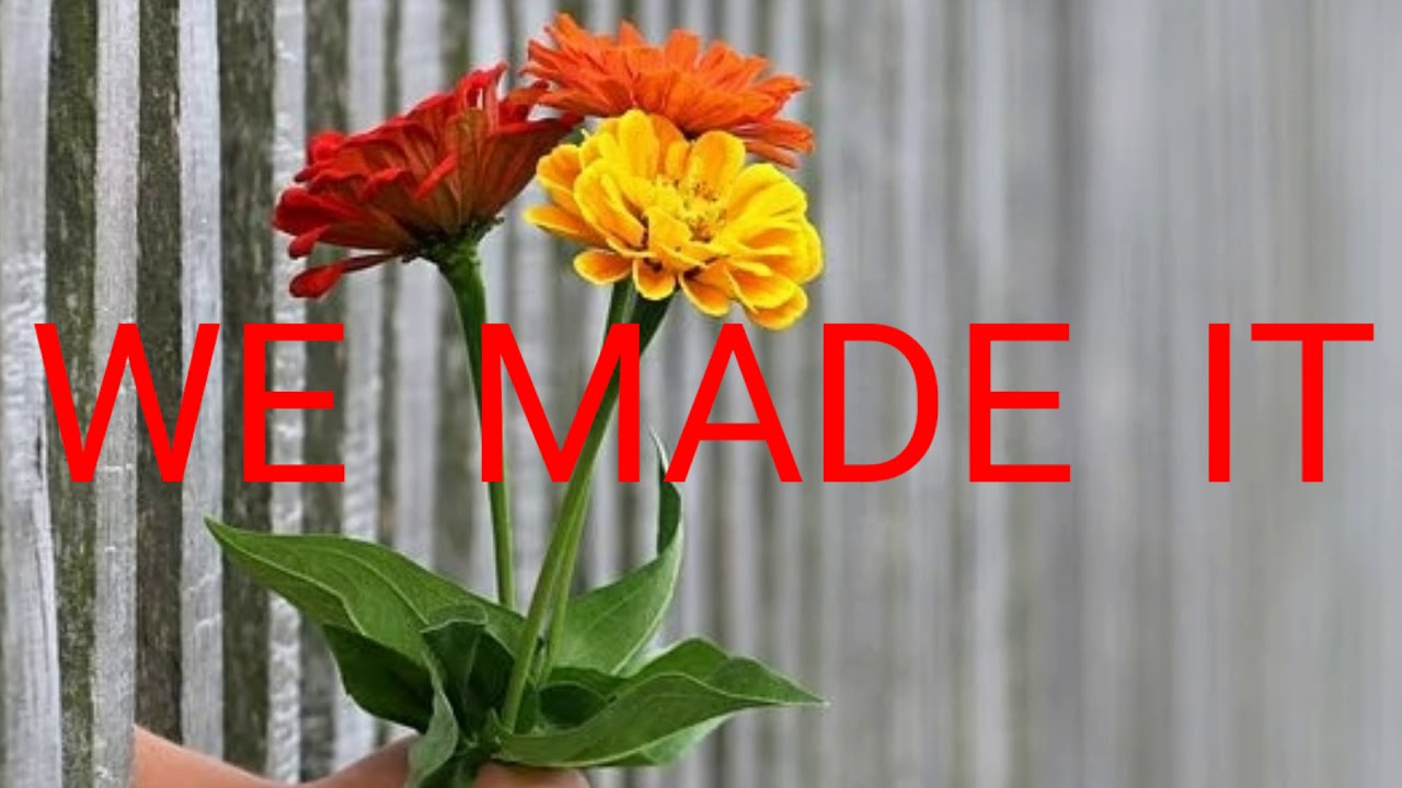 WE MADE IT || REED MATHIS - YouTube