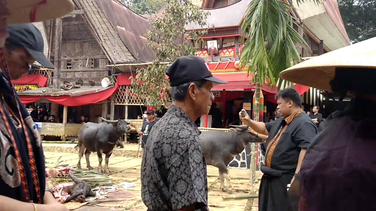 Toraja Tikala this July - YouTube