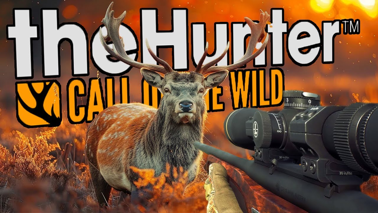 Hunting Story Red Deer | The hunter call of the wild - YouTube