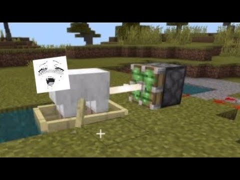 Automatic Sheep Dildo (Sheep Fricker) - YouTube