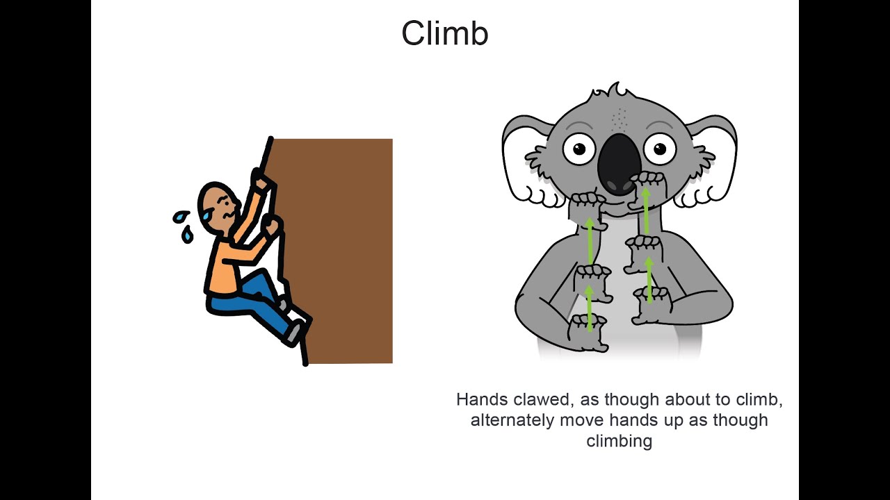 Nelson Park Communication Board Key Word Sign tutorial - Climb - YouTube
