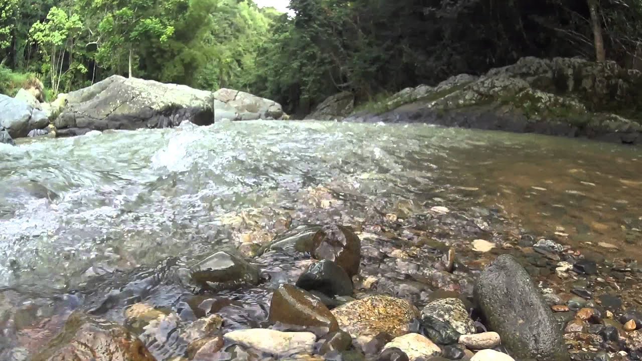 Nature Sounds in Tanama River, Utuado Puerto Rico. - YouTube