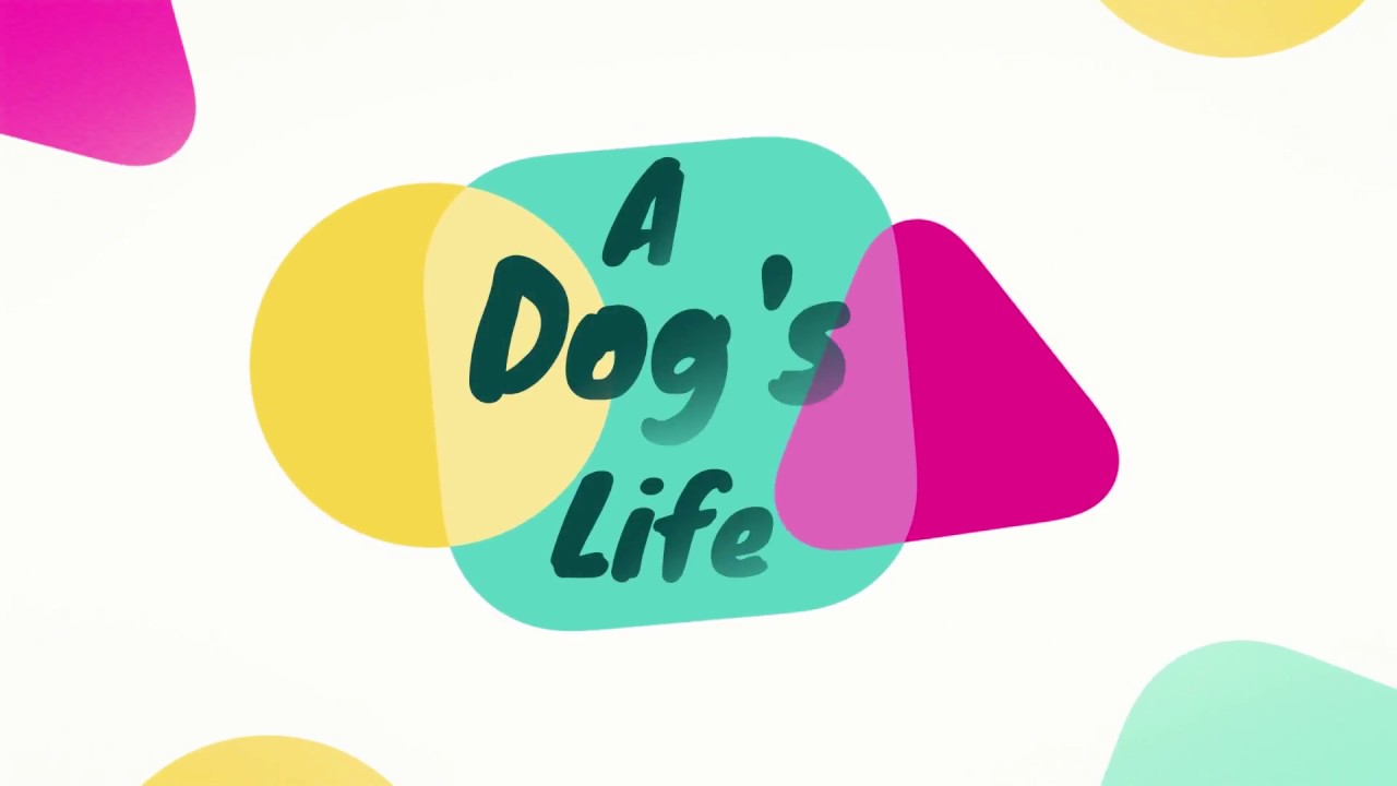 A Dog's Life - YouTube