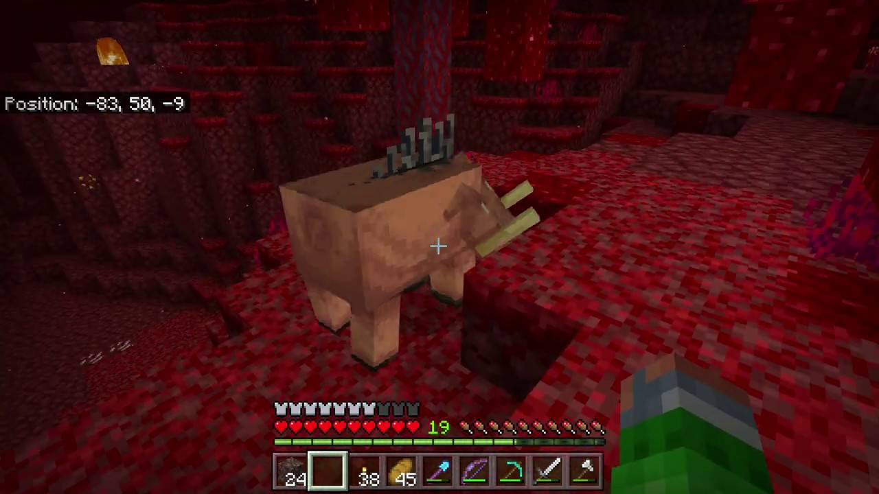 Minecraft: The Passive Hog - YouTube