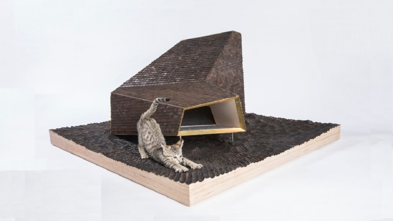 MOST CREATIVE CAT HOUSES EVER -3 - YouTube