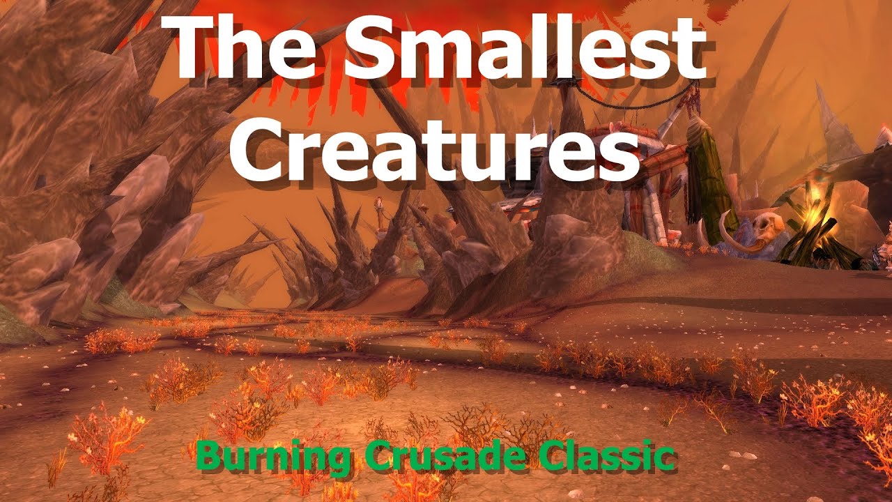 The Smallest Creatures--WoW TBC Classic - YouTube
