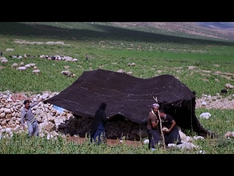 DENGBEJ HEMİDO LAWKÊ DELAL, MEWAL,