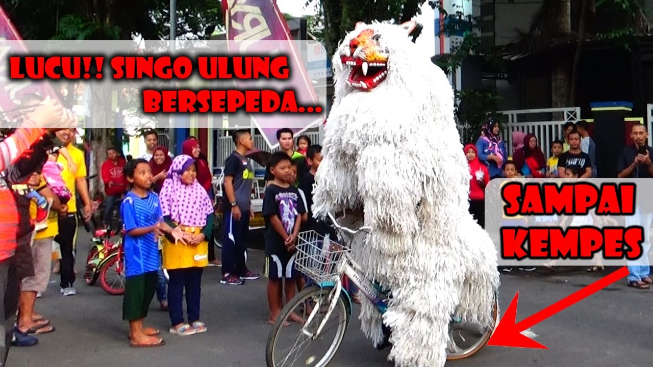 Atraksi Singo Ulung Main Sepeda - YouTube