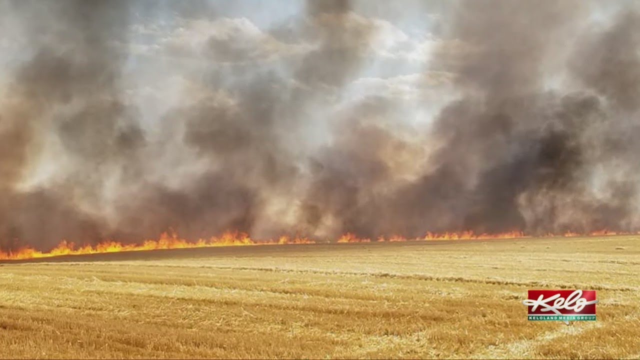 Crews respond to wheat field fires in western South Dakota - YouTube