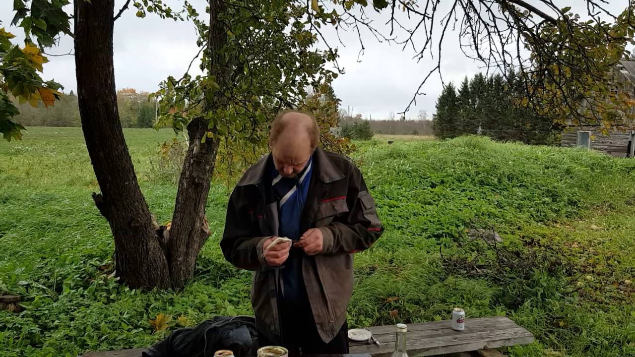 Rootsi kala - YouTube