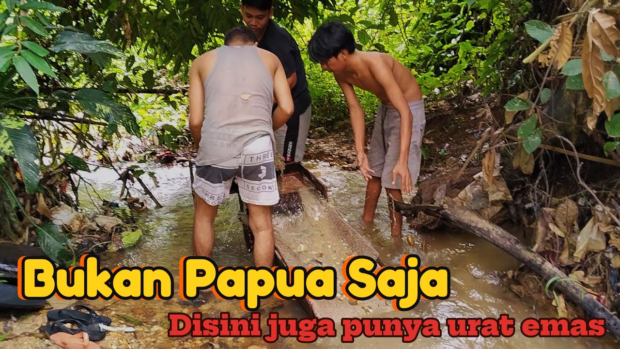 MENDULANG EMAS DI TANAH SUMATRA, BUKTI SEJARAH PULAU SUMATRA PULAU EMAS ...