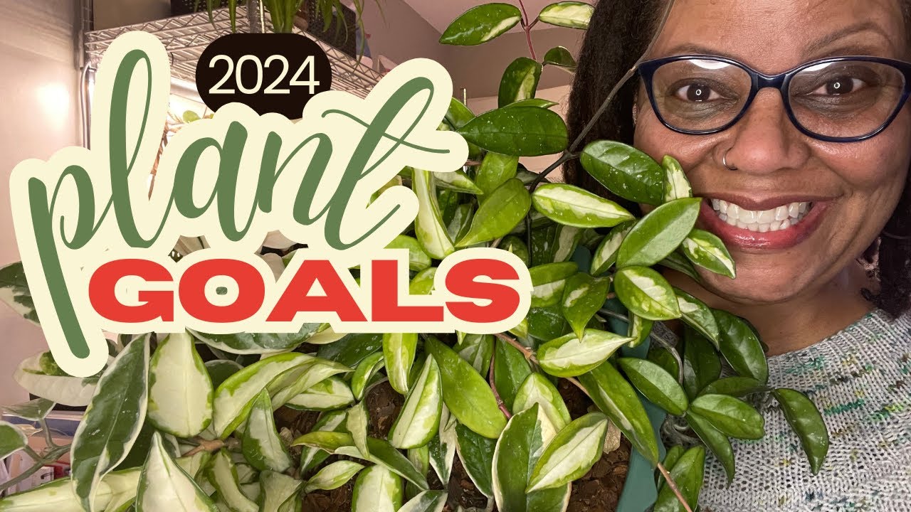 2024 Lush Plant Goals | No More Straggly Plants For Me!! - YouTube