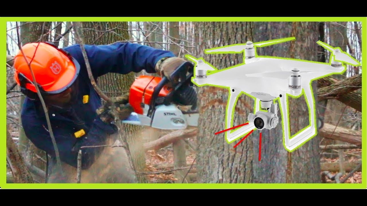 Chainsaws & Drones - YouTube