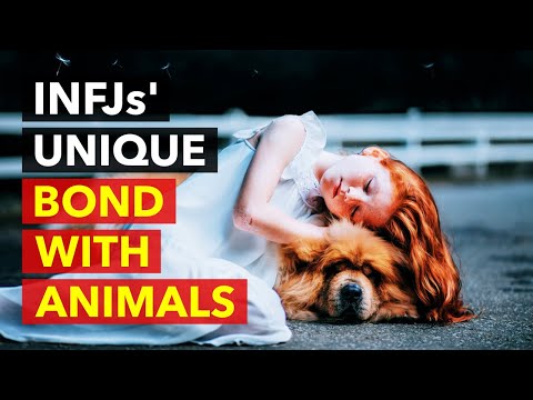 Heart-to-Heart: Understanding the Special Connection INFJs Share with Animals