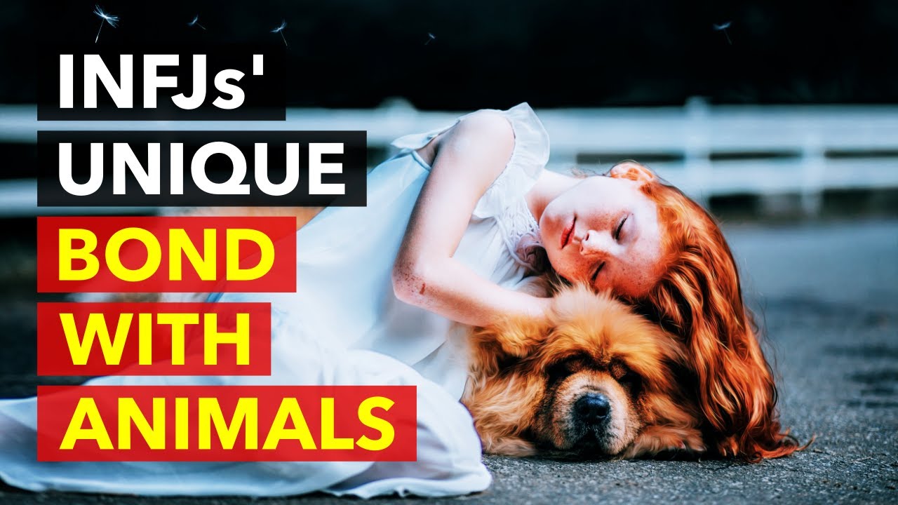 Heart-to-Heart: Understanding the Special Connection INFJs Share with ...