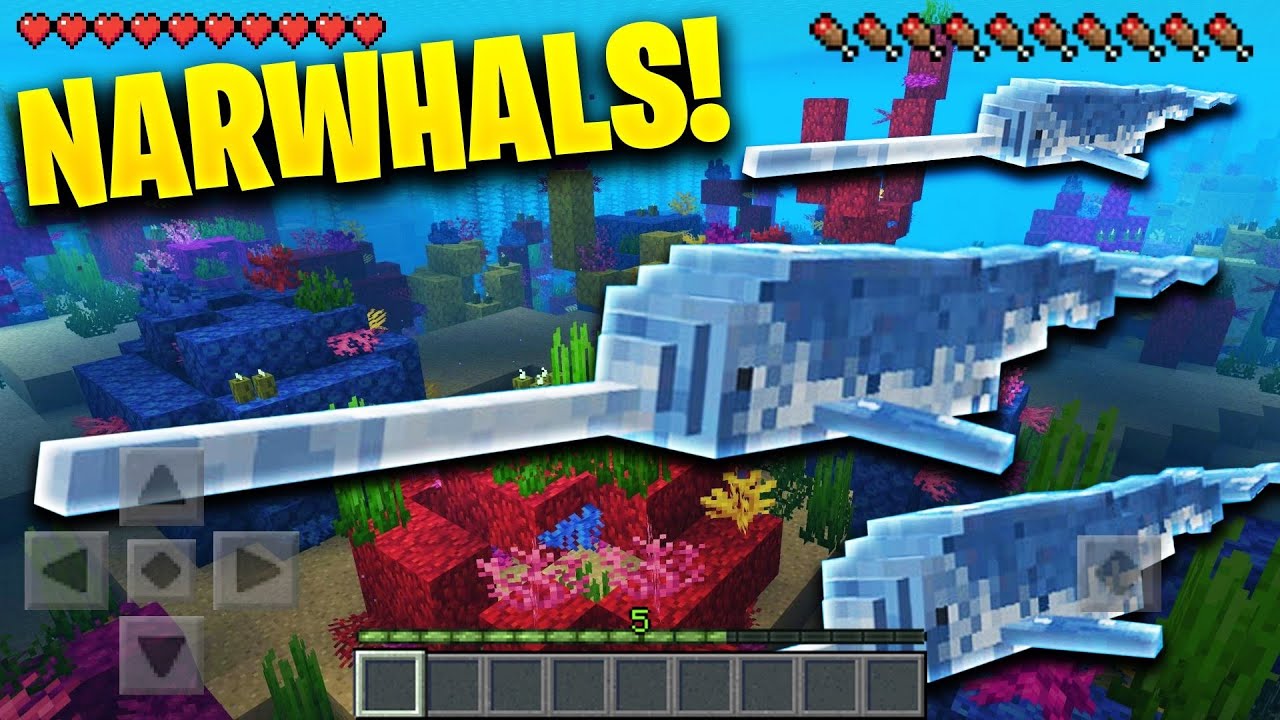 Narwhal in Minecraft Pocket Edition - YouTube