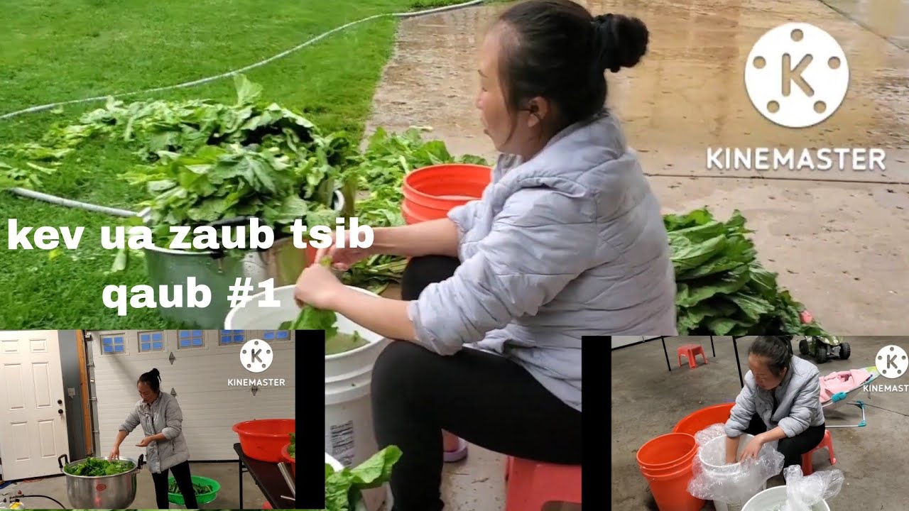 kev ua zaub tsib qaub - YouTube