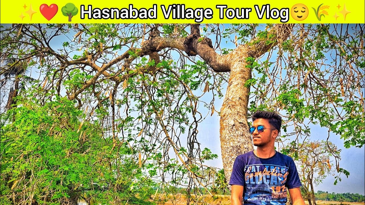Hasnabad Village Tour vlog🌾🌳😃#trending #viral #vlog #bengali #shorts # ...