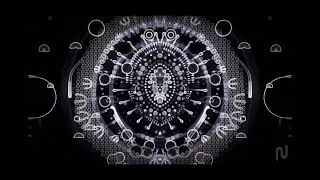PHONK Chords - Chordify