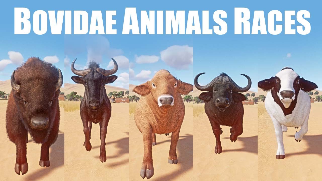 Bovids Animals Speed Races in Planet Zoo in 4K UHD included Bison, Blue ...