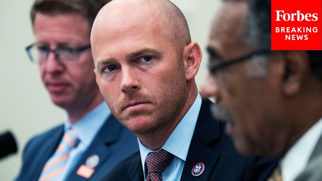 William Timmons On Mass Shootings: ‘We Need To Enforce Rule Of Law ...