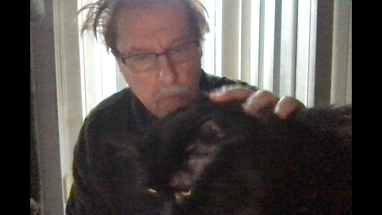 Tarot For Today: Goth Tarot? March 13 - 19, 2024 [Pre-recorded] - YouTube