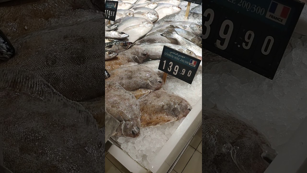 Dubai Fresh international fish's in MOE Carrefour so amazing - YouTube
