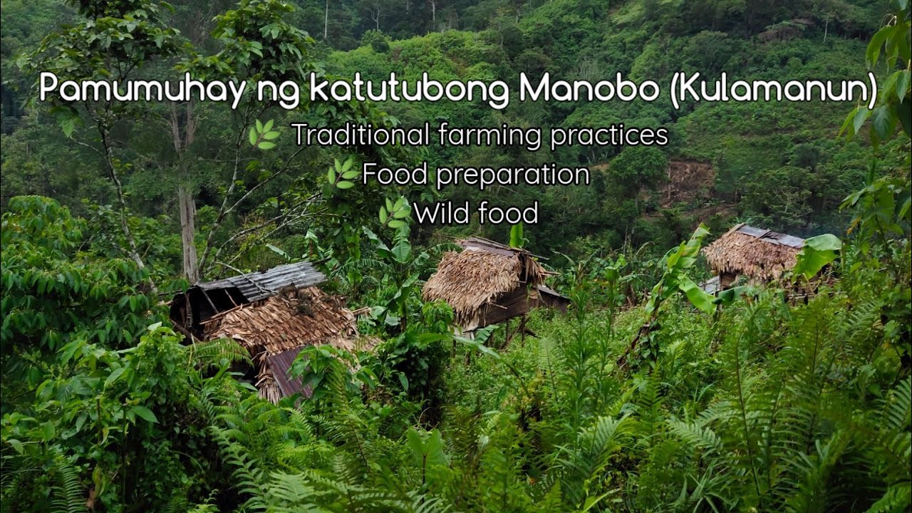 Manobo traditional farming practices | wild food | Food prep | Food ...