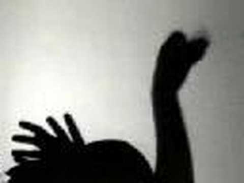 Animal shadow play - YouTube