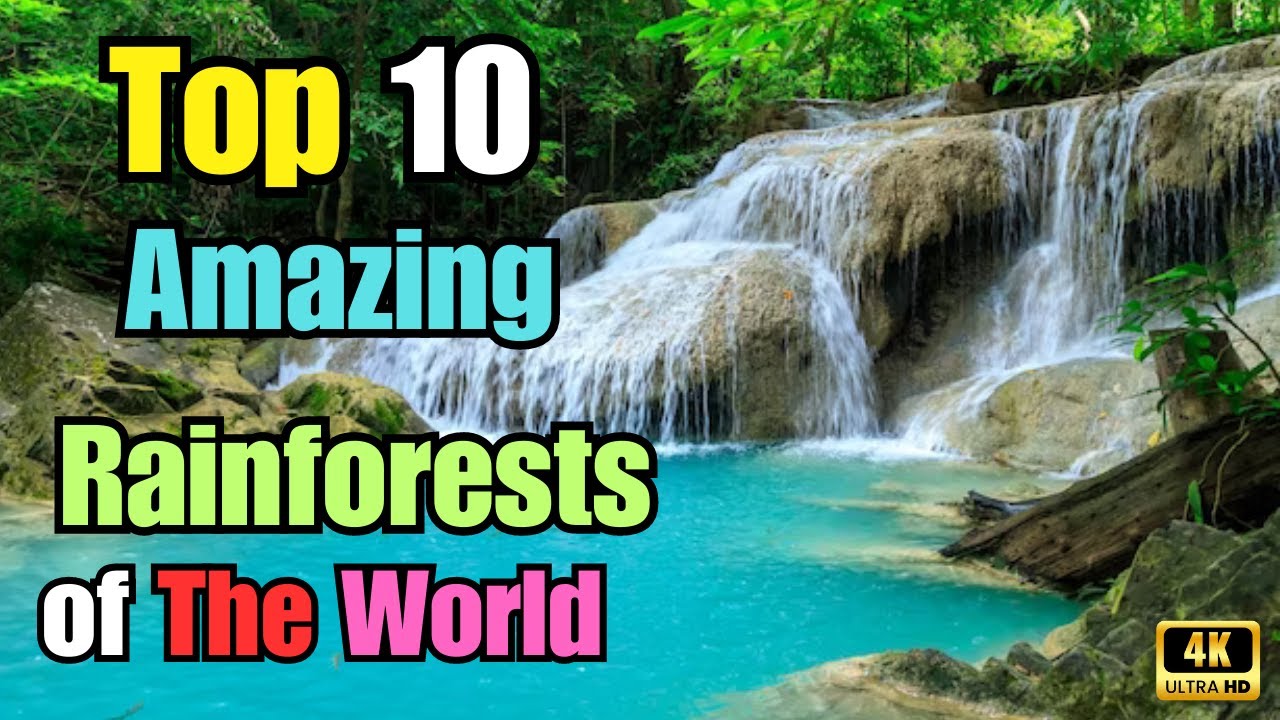 Ten Amazing Rainforests of The World Top10 #top10 #natureswonders # ...