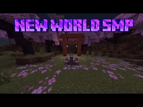 New World SMP (application open.) - YouTube