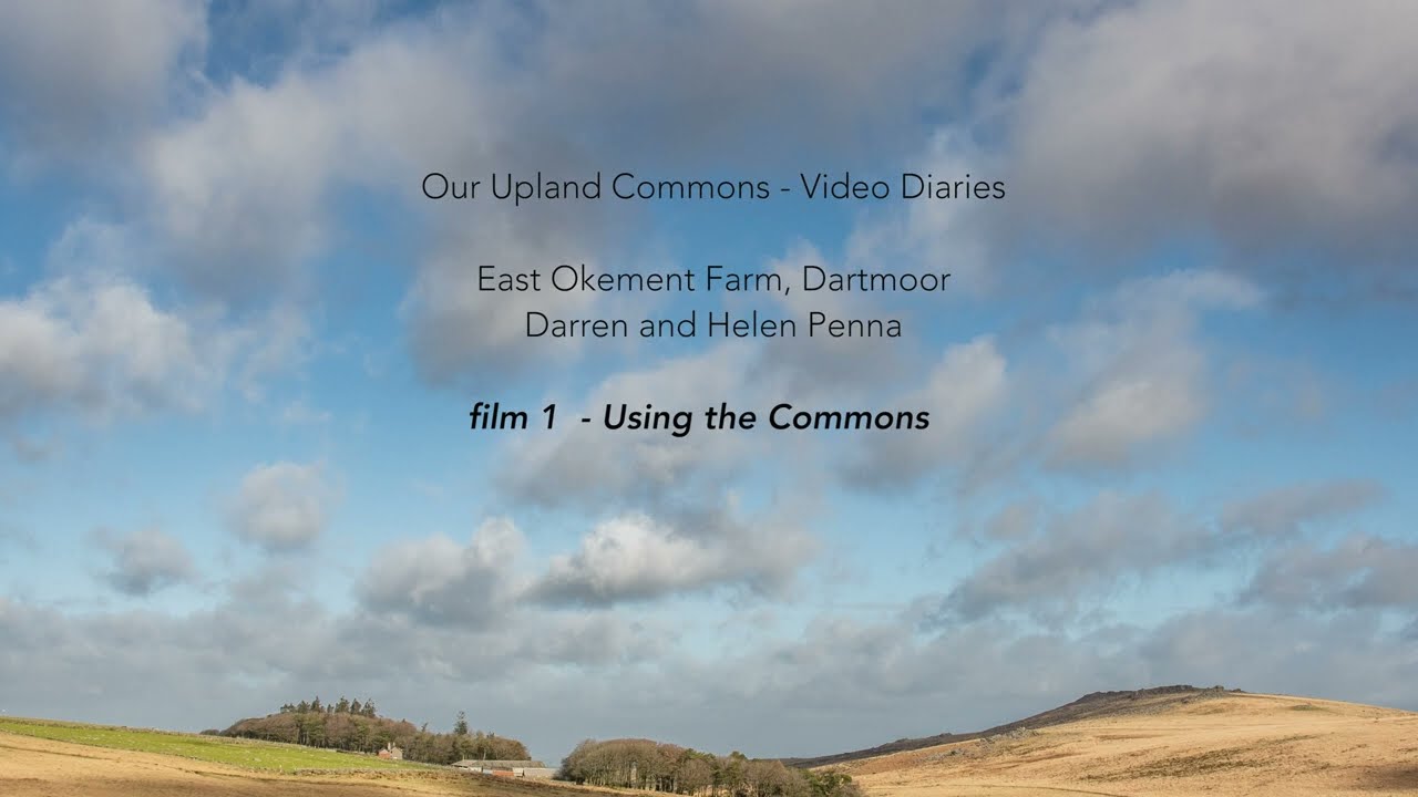 Video Diary, Will Dawson, Bleak Bank Farm. Film 1 - Scanning the Ewes ...