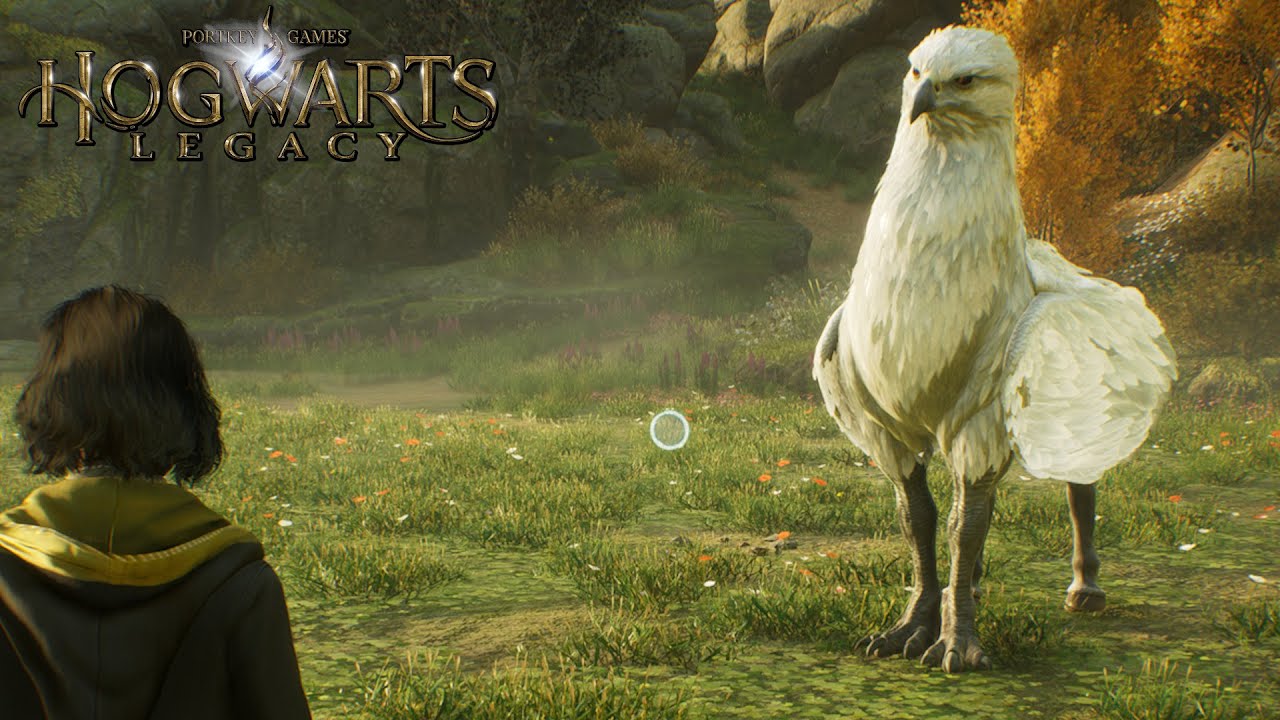 Hogwarts Legacy | The High Keep Quest (Unlocking Mount) | Griffin Mount ...