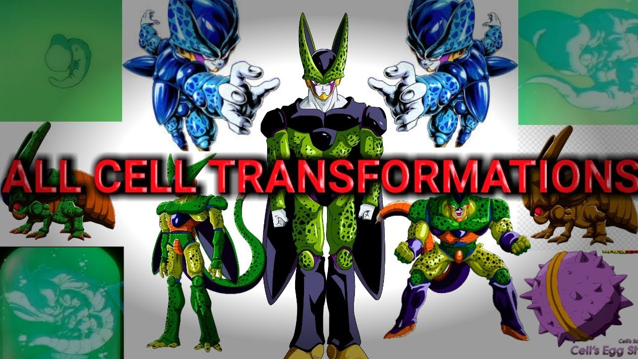 All Cell Transformations - YouTube