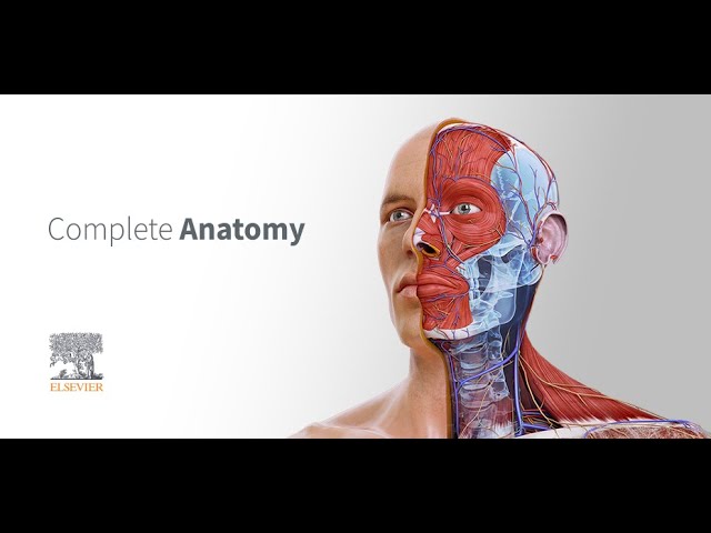 Complete Anatomy Complete Anatomy Flashcard Set – Bio In A Flash