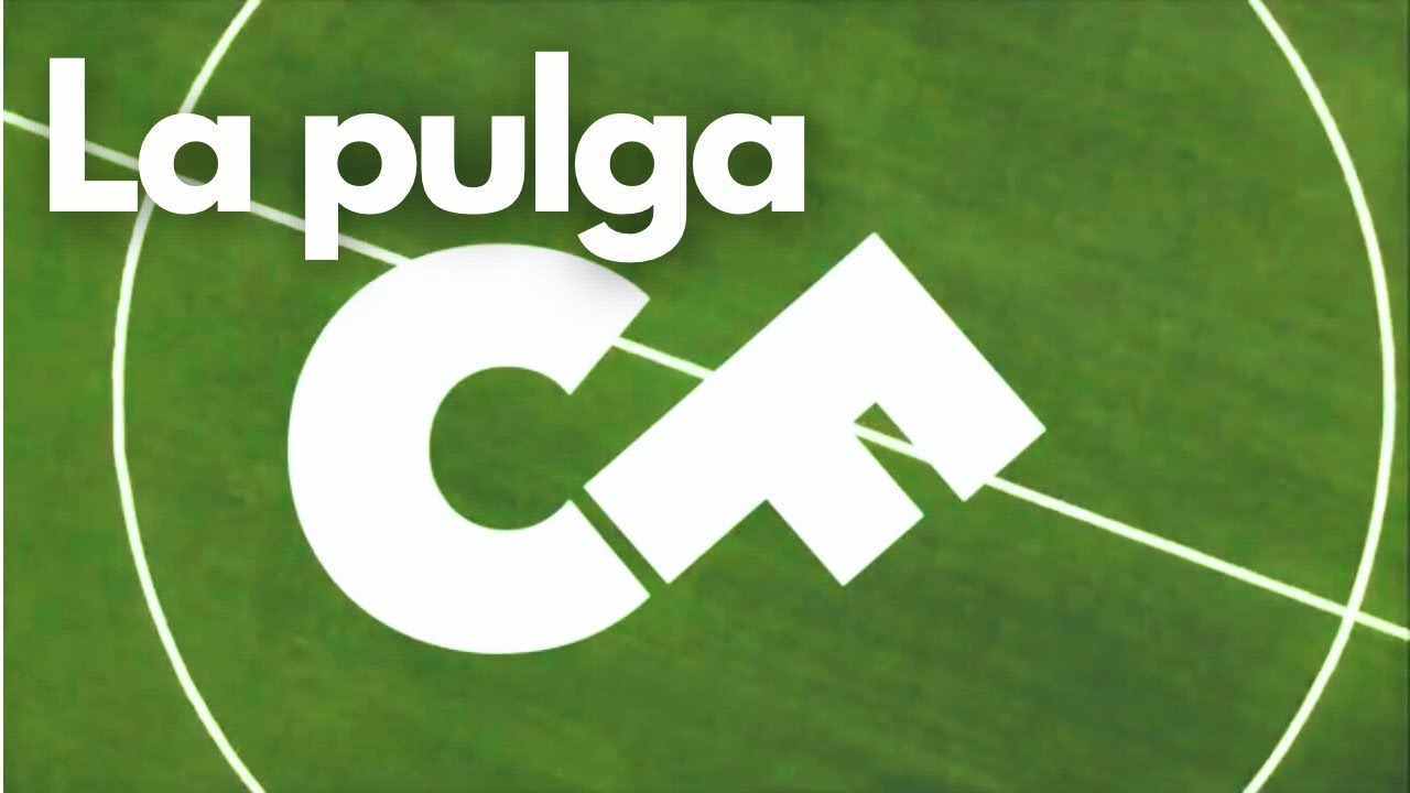 La pulga - YouTube