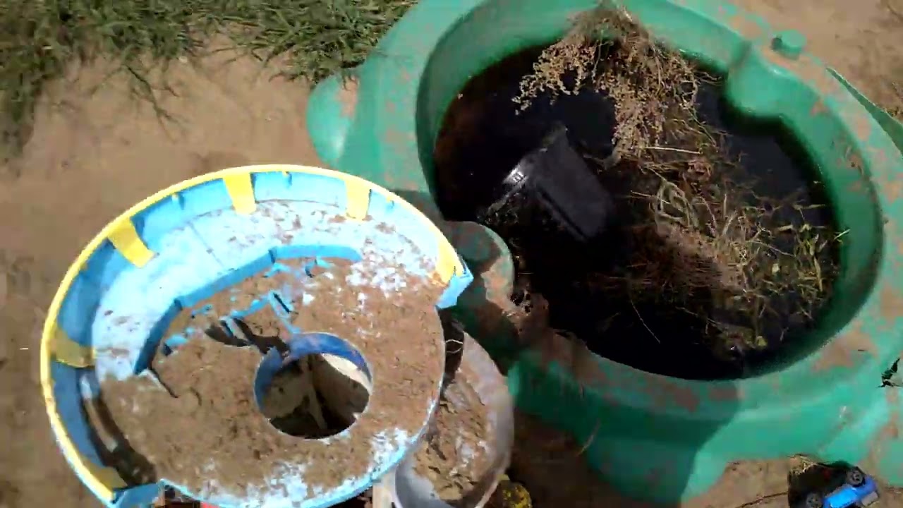 Toad hunting part 2 - YouTube