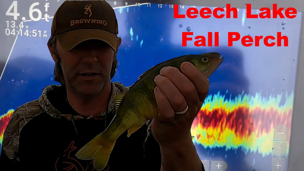 Leech Lake Fall Perch Fishing - YouTube