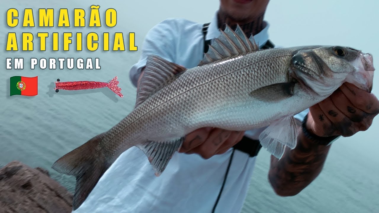 Tudo sobre pesca ao Robalo com amostra! veja esse vídeo e nunca mais ...