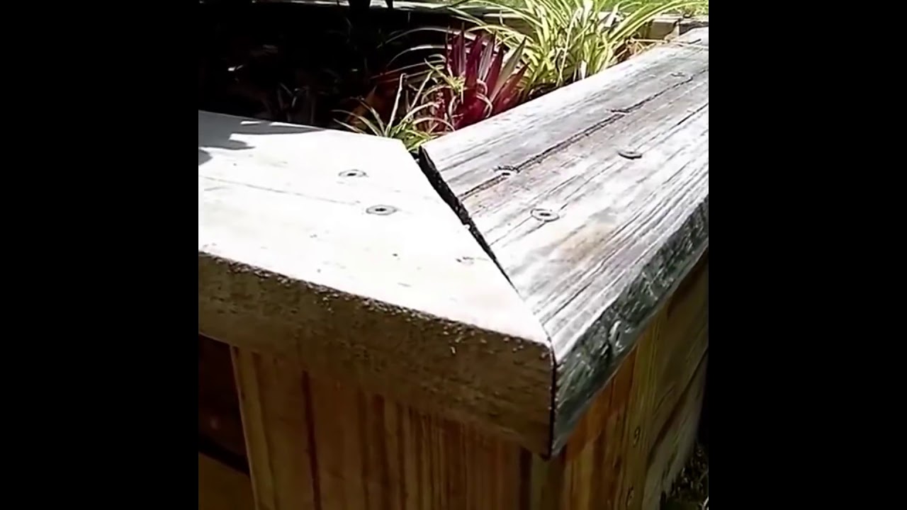 RARE VINES COMPILATION - YouTube
